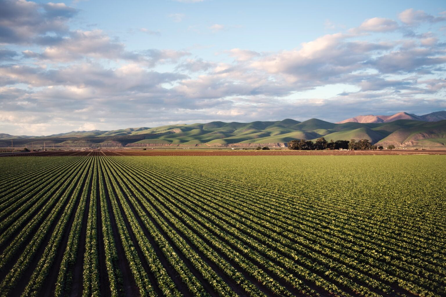 Geography of the United States: From Landforms to Cultural Diversity ...
